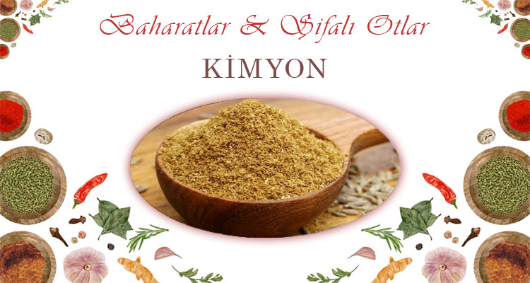 Kimyon Nedir? Kimyonun Özellikleri, Tıbbi Kullanımı ve Faydaları ...