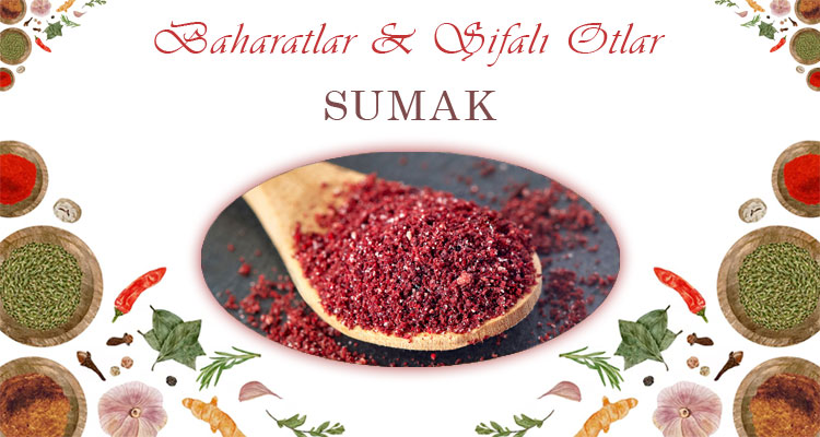 Sumak Nedir? Sumağın Özellikleri, Tıbbi Kullanımı ve Faydaları Nelerdir ...
