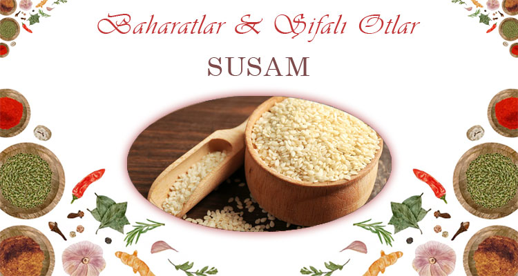 Susam Nedir? Susamın Özellikleri, Tıbbi Kullanımı ve Faydaları Nelerdir ...